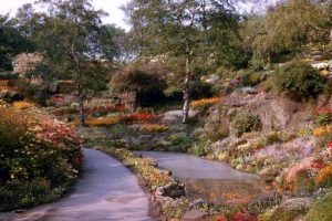 about – springburnwintergardens.com