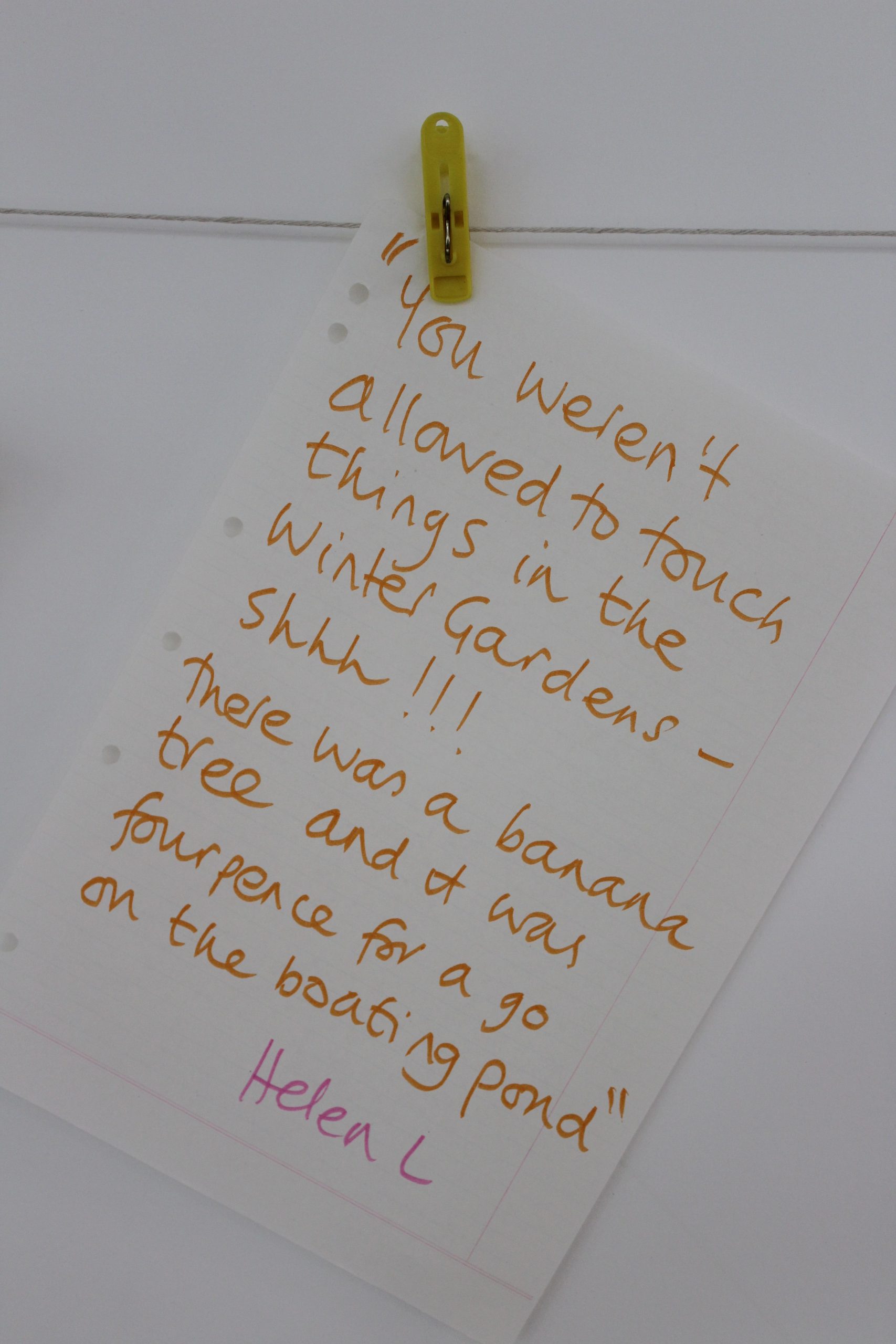 get involved – springburnwintergardens.com